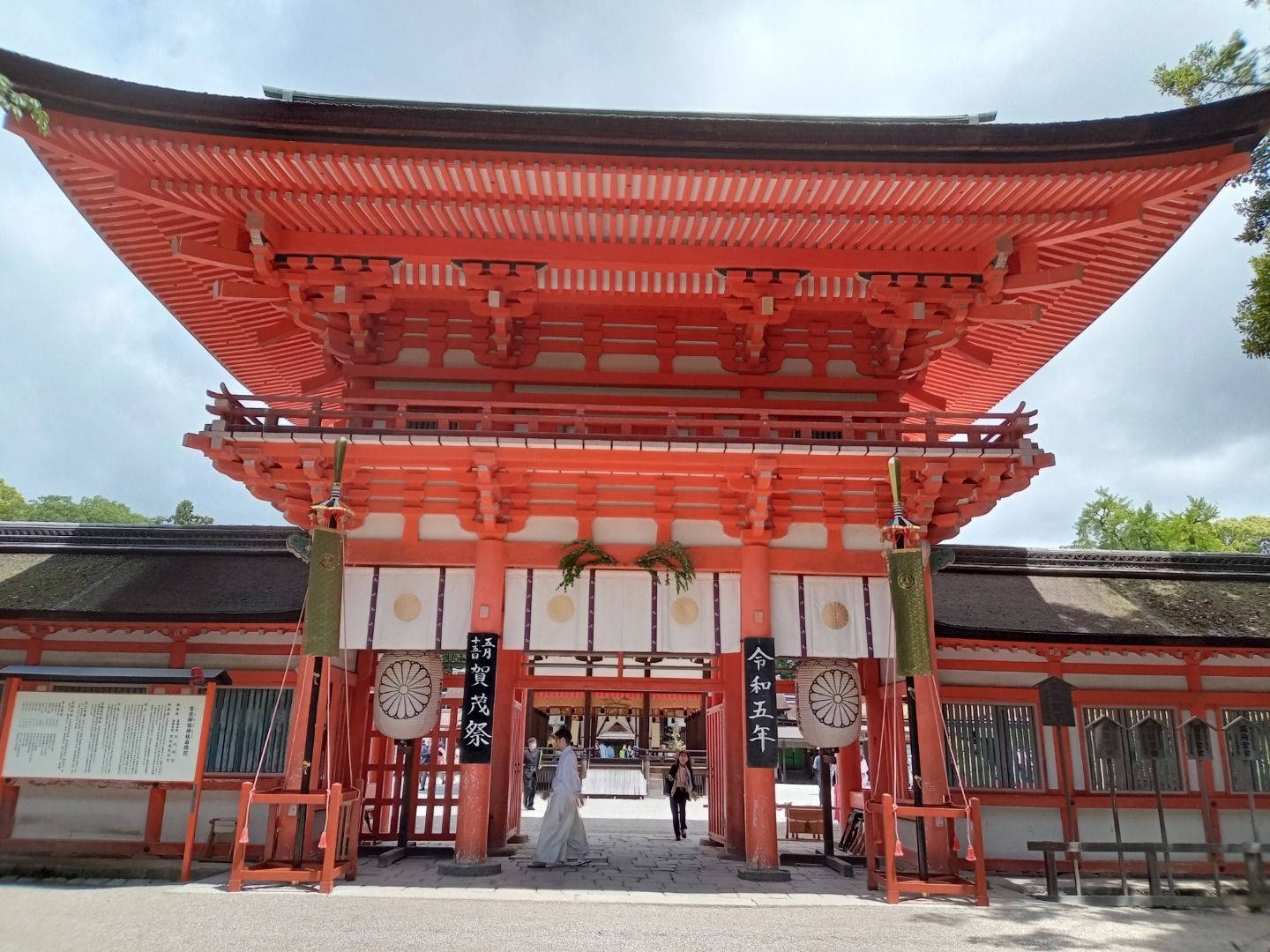 こんなに晴れてるのに中止って？: ルシヲルリタ